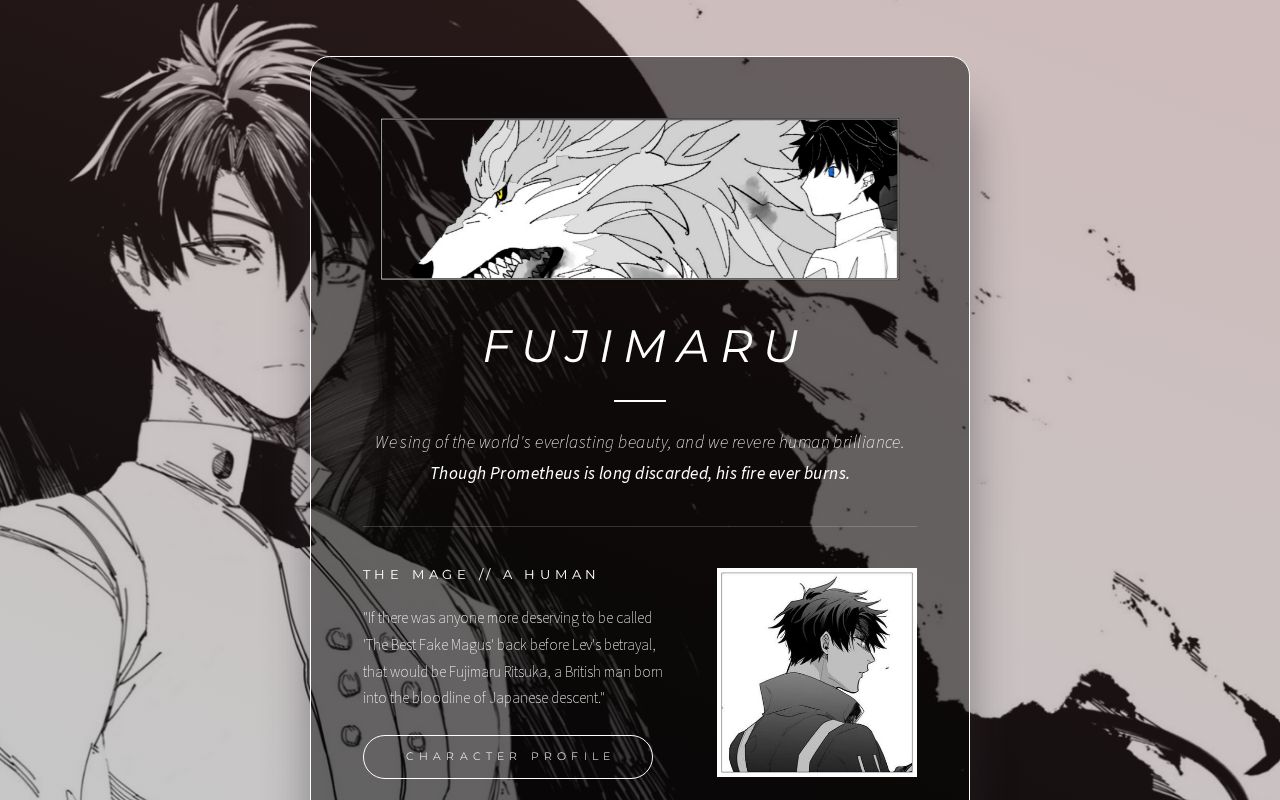 The Mystery Engineer